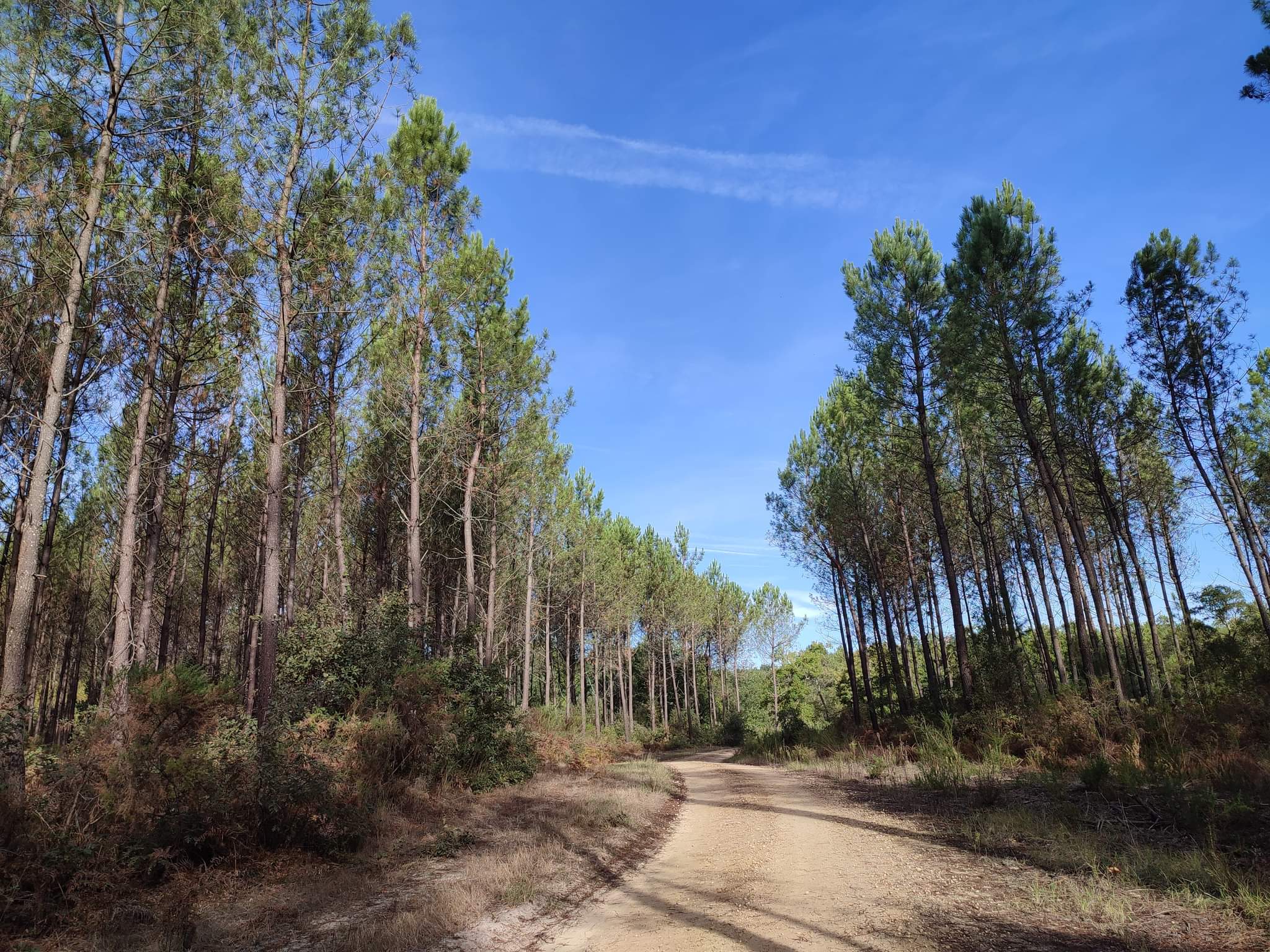 Accueil - Communauté de communes Coteaux et Landes de Gascogne