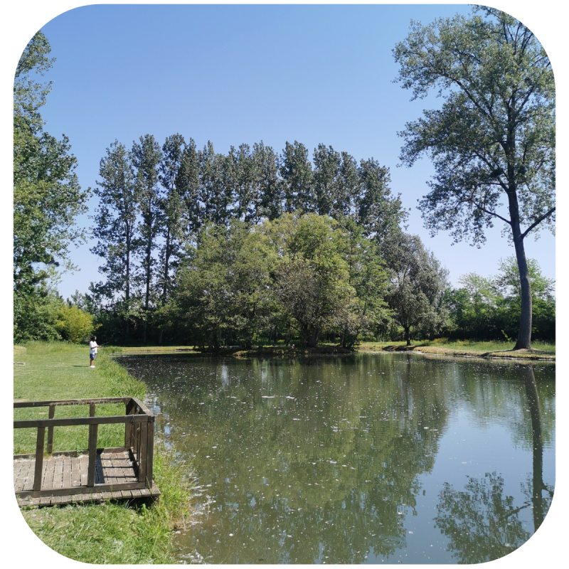 Accueil - Communauté de communes Coteaux et Landes de Gascogne
